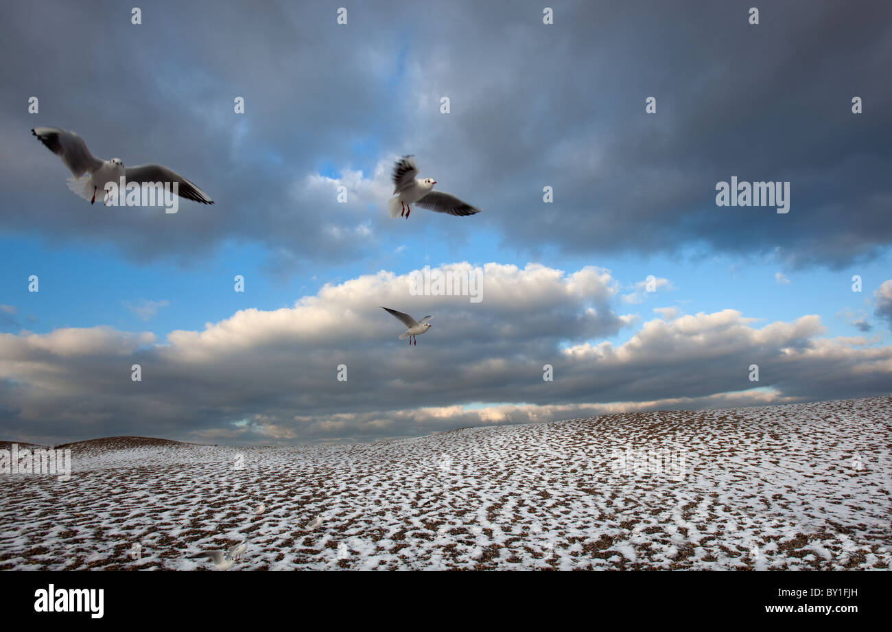 Salthouse Beach under light snow Winter Norfolk Stock Photo - Alamy