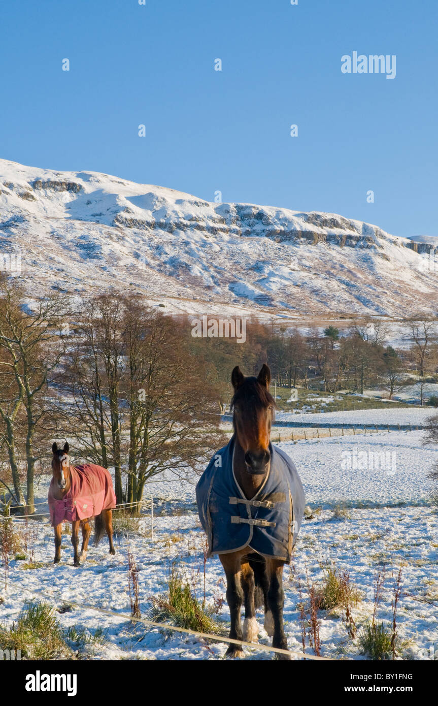 Nr stirling hi-res stock photography and images - Alamy