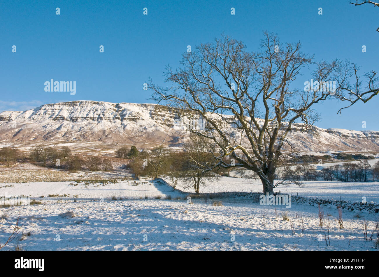 Tree and snow capped Campsie Hills nr Strathblane Stirling District ...