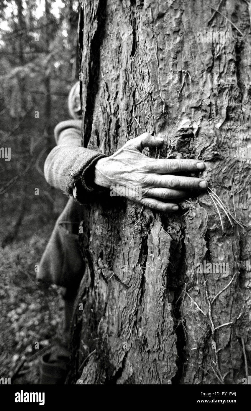 Hand on tree, South Wales Stock Photo - Alamy