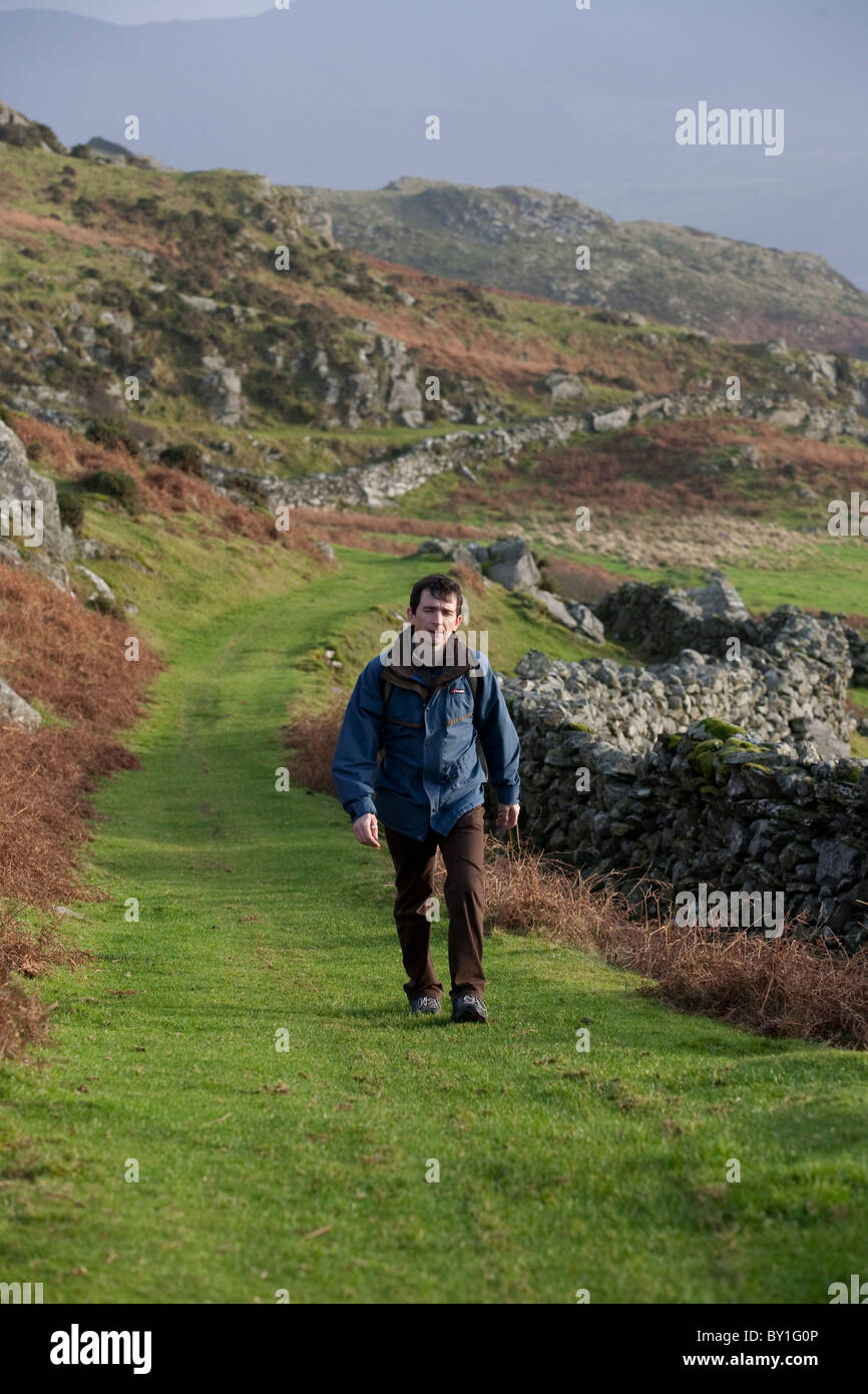 Walker on path on country walk in Wales Stock Photo - Alamy