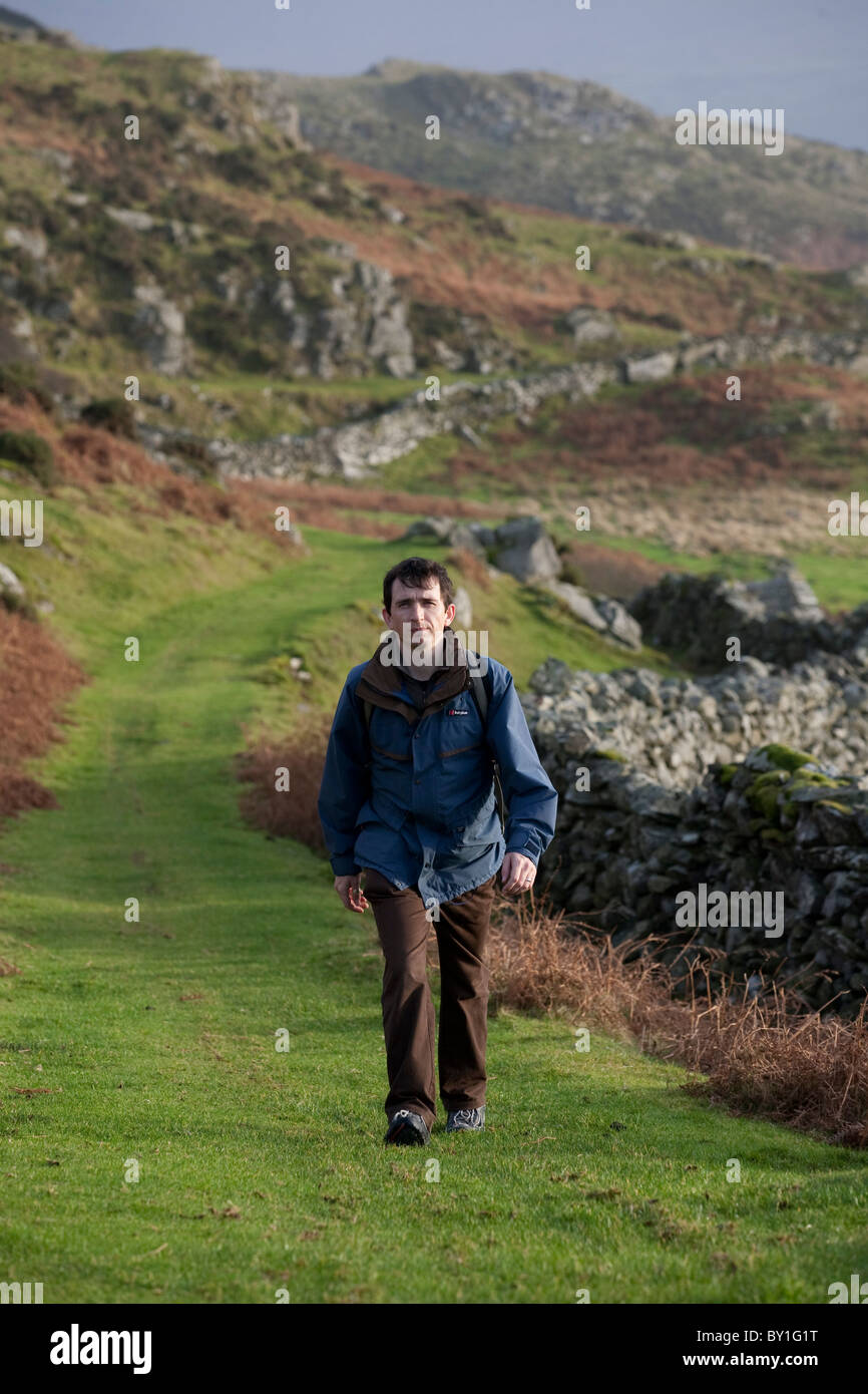 Walker on path on country walk in Wales Stock Photo - Alamy