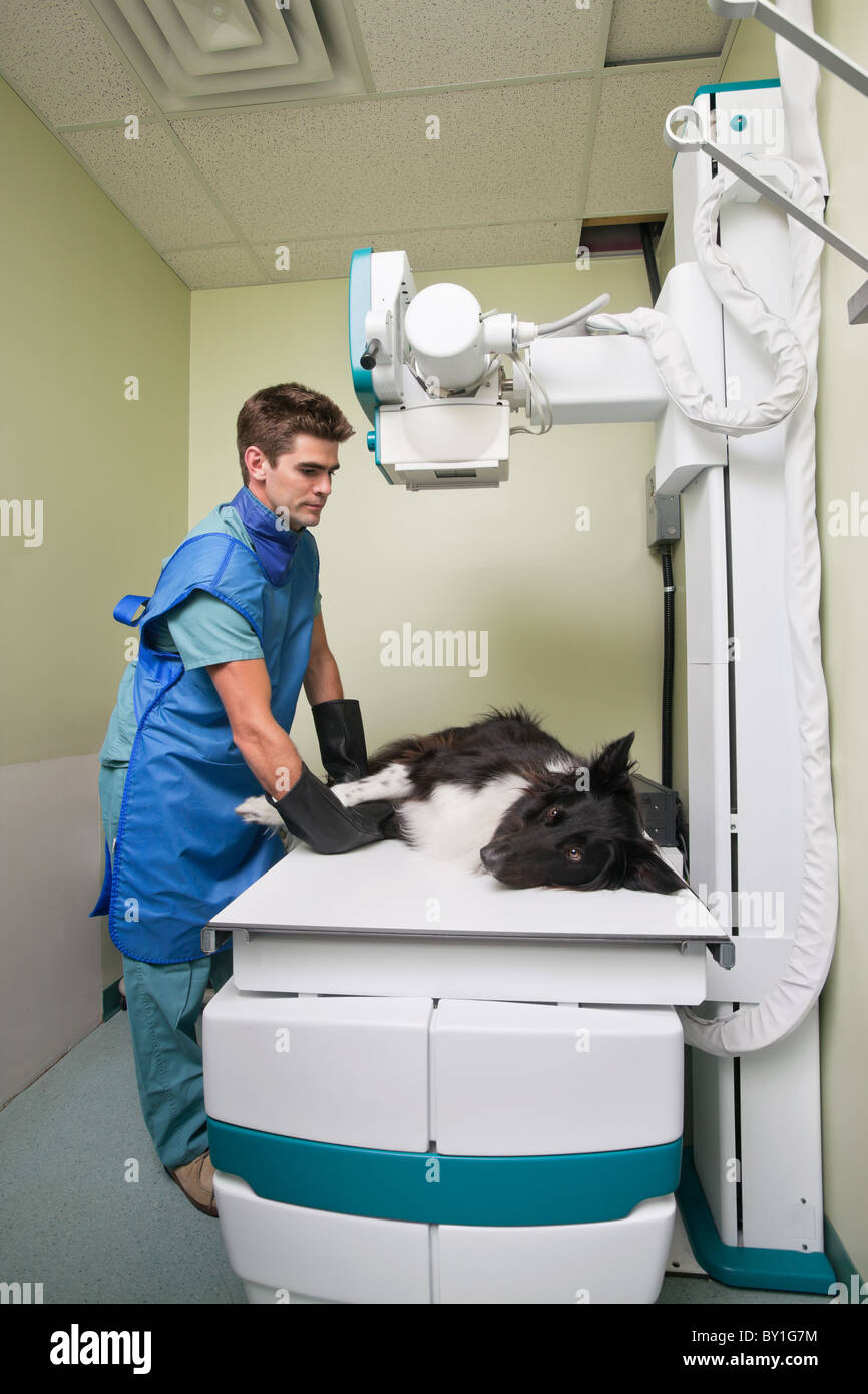 Doctor xray vertical hi-res stock photography and images - Alamy