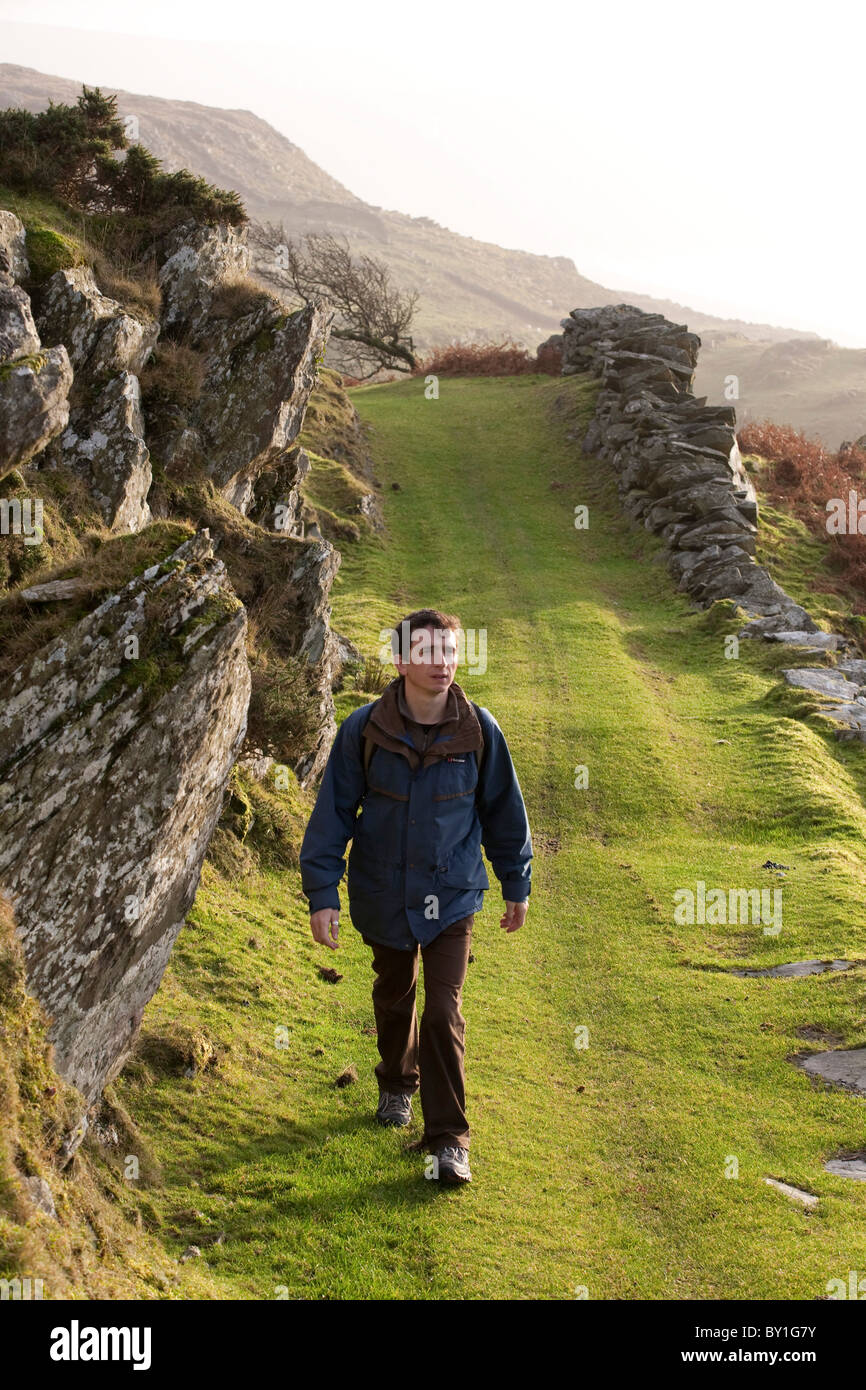 Walker on path on country walk in Wales Stock Photo - Alamy