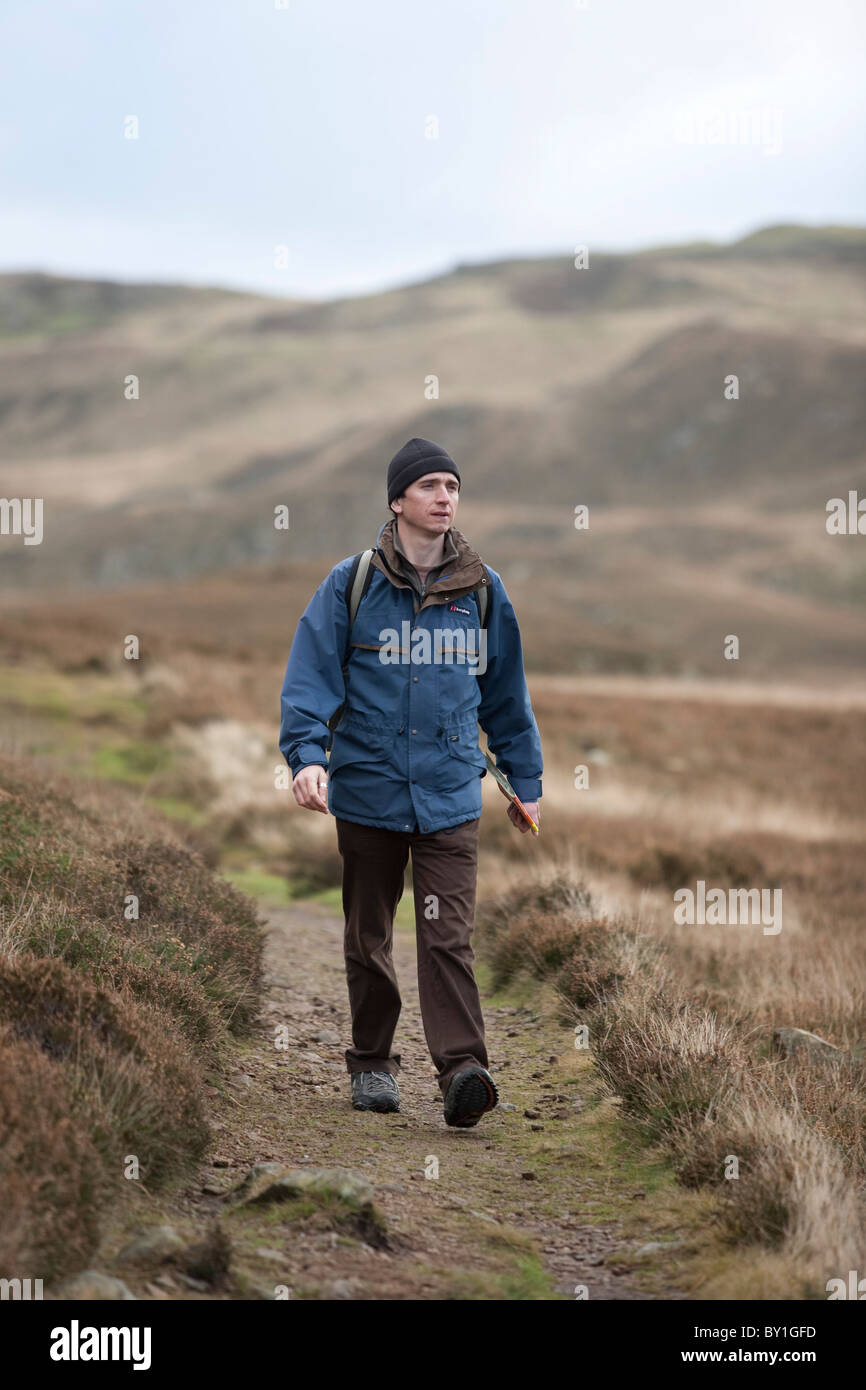 Rambler on the trail in the Welsh Mountains Stock Photo - Alamy