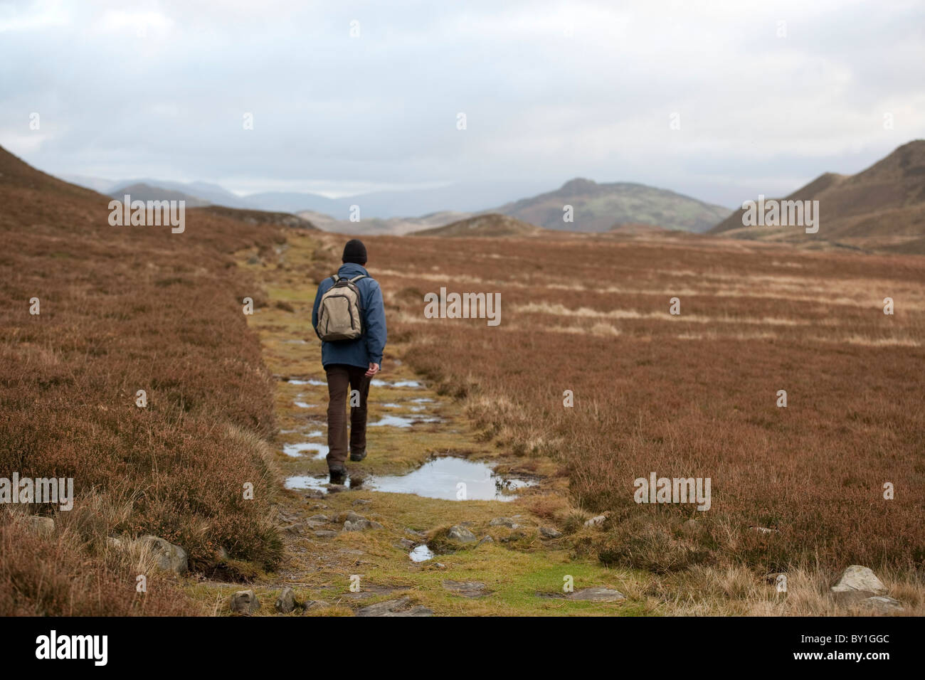 Rambler on the trail in the Welsh Mountains Stock Photo - Alamy