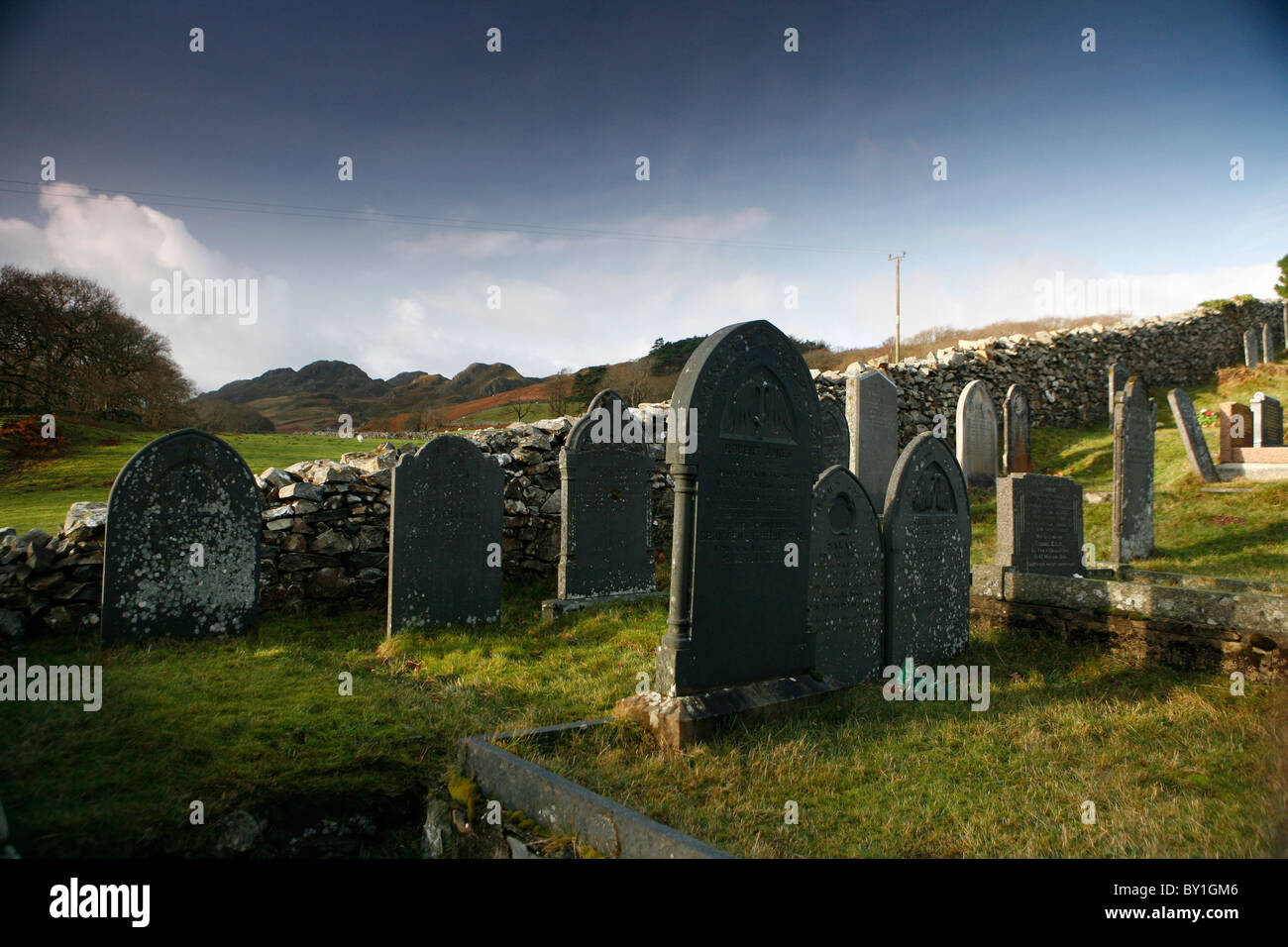 Details of country walk in Wales Stock Photo - Alamy