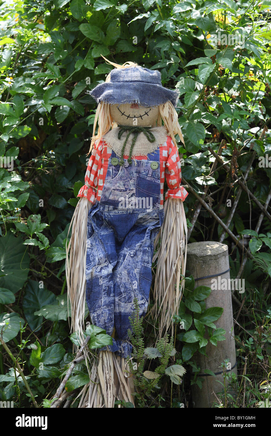 Scarecrow at the meadow Stock Photo - Alamy