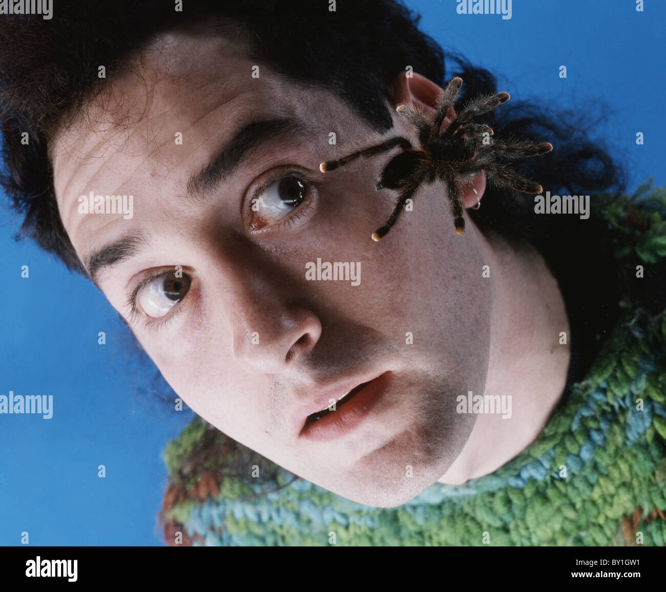 Man spider scared hi-res stock photography and images - Alamy