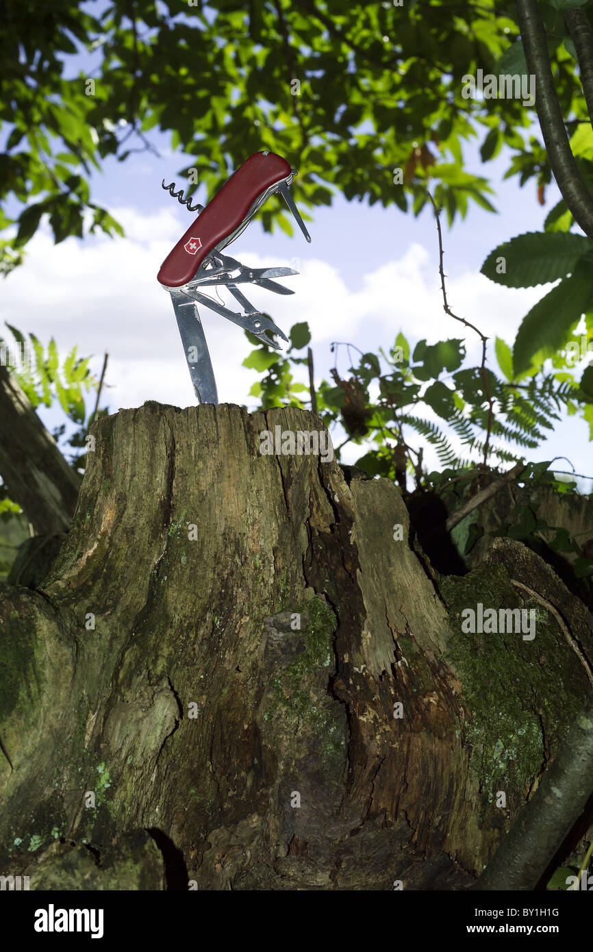 Army sharp hi-res stock photography and images - Alamy