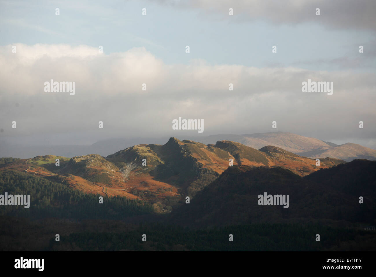 Details of country walk in Wales Stock Photo - Alamy