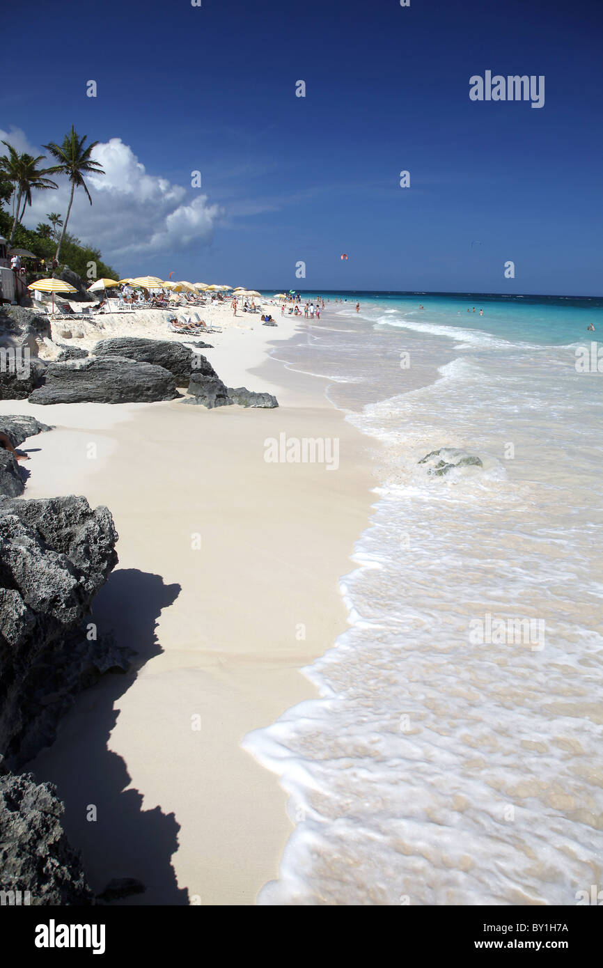 ELBOW BEACH & PALM TREES BERMUDA ISLANDS NORTH ATLANTIC OCEAN ELBOW ...