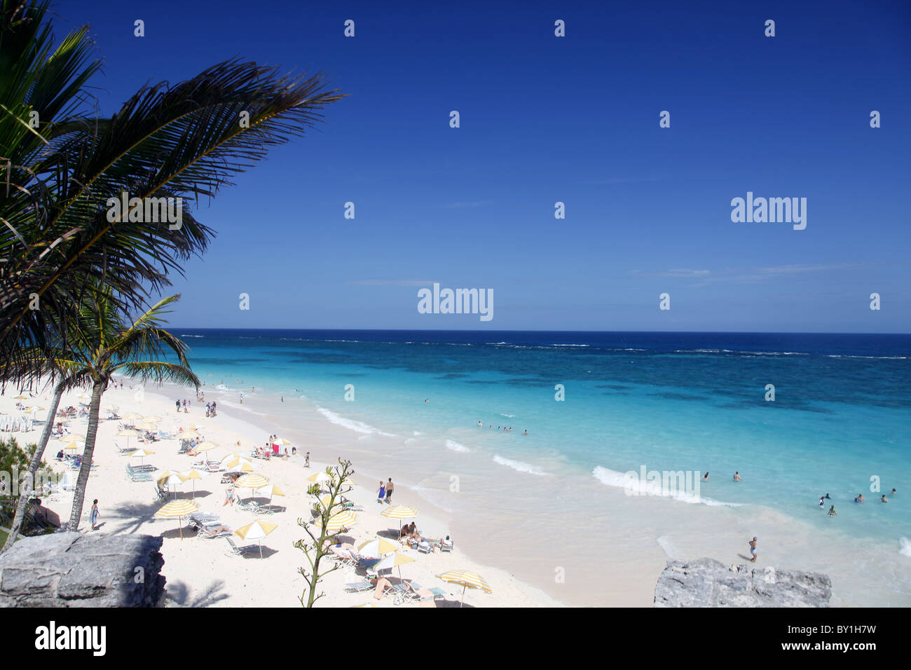 ELBOW BEACH & PALM TREES BERMUDA ISLANDS NORTH ATLANTIC OCEAN ELBOW ...