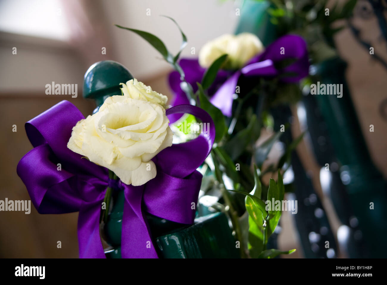 Purple ribbon hi-res stock photography and images - Alamy
