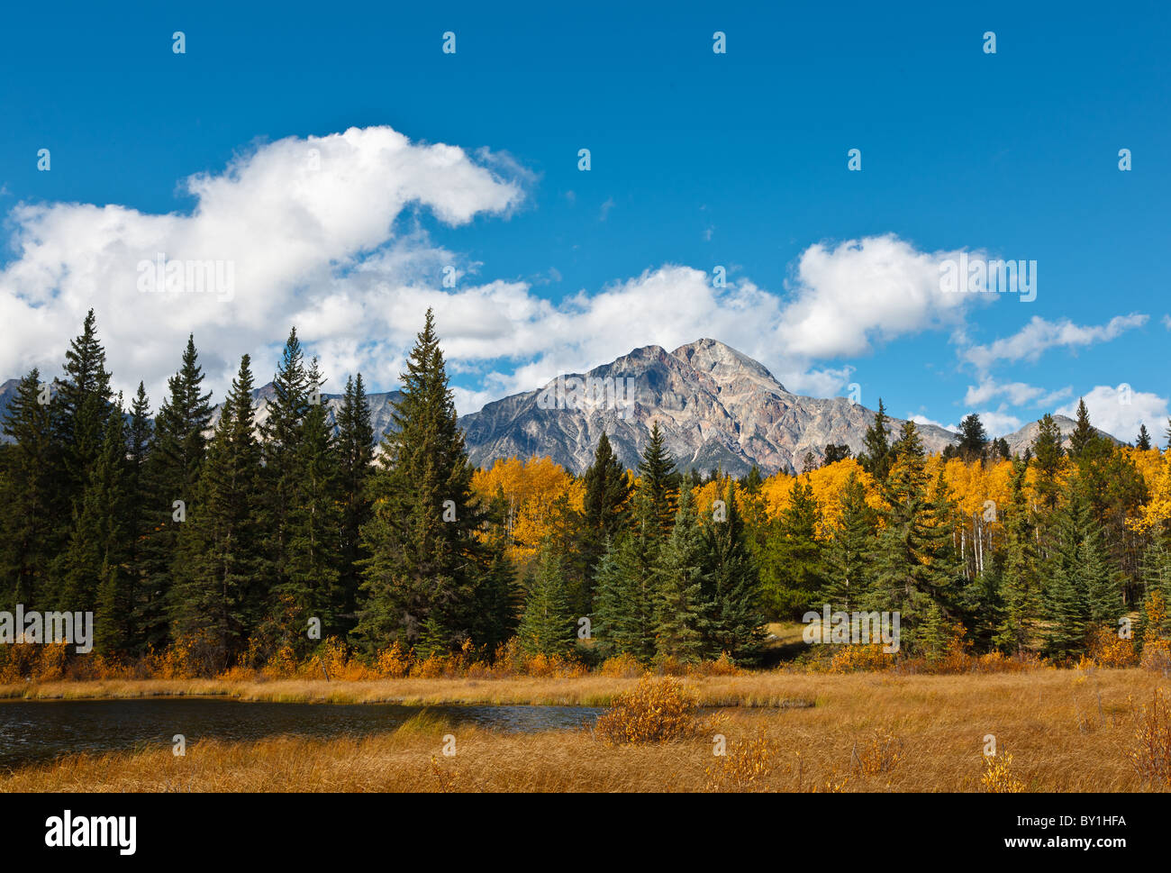 Pyramid Mountain, Jasper National Park, Alberta, Canada Stock Photo - Alamy