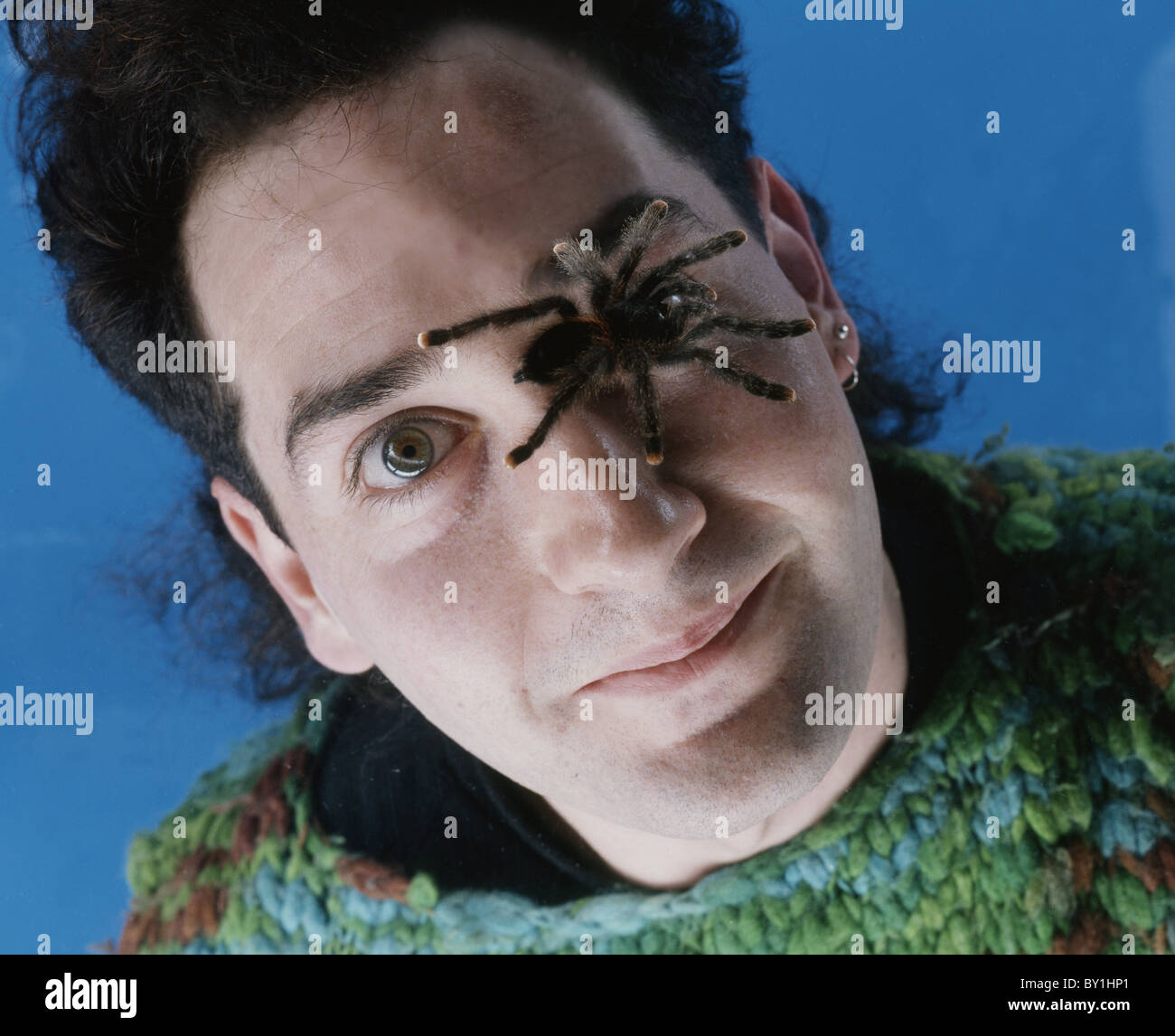 Man spider scared hi-res stock photography and images - Alamy