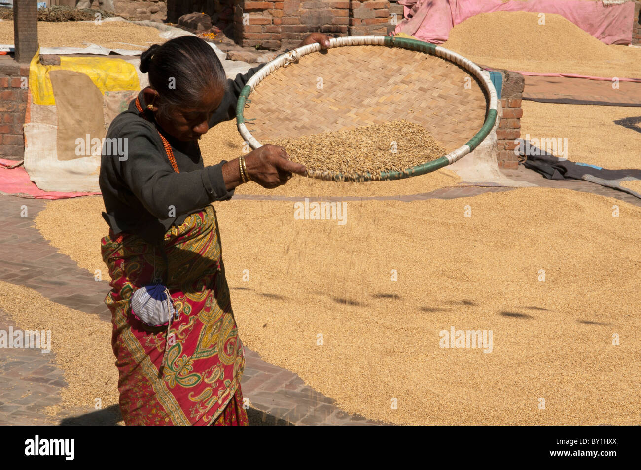 World grain harvest hi-res stock photography and images - Alamy