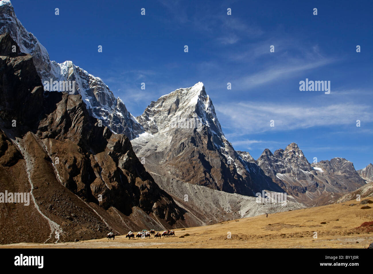 Nepal, Everest Region, Khumbu Valley. A yak baggage train on the ...