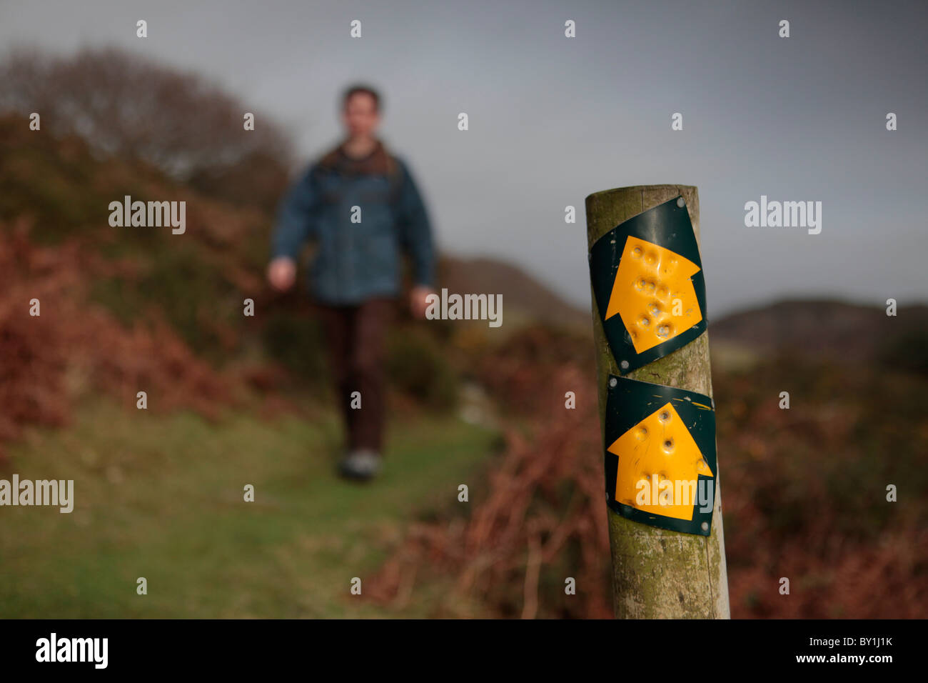 Walker on the trail in Wales with signage Stock Photo - Alamy