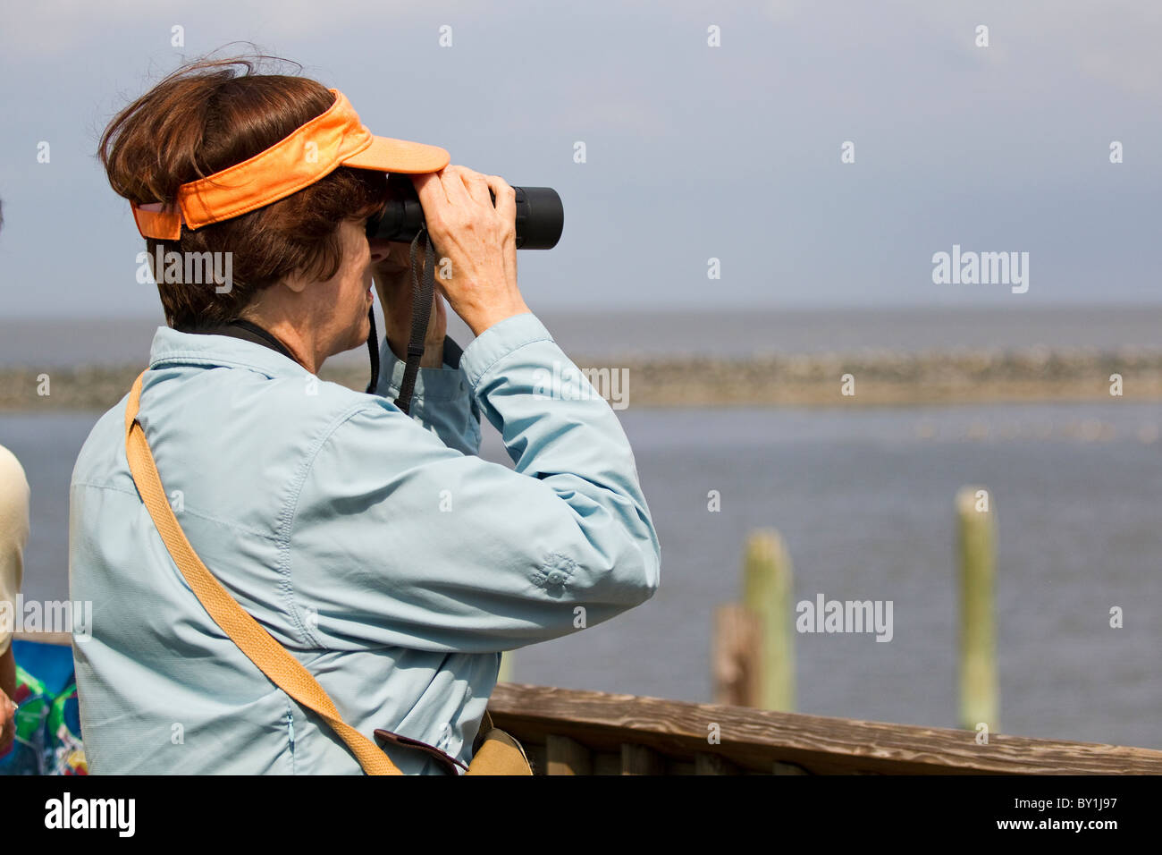 Senior female birdwatcher looking through binoculars at shore birds on ...