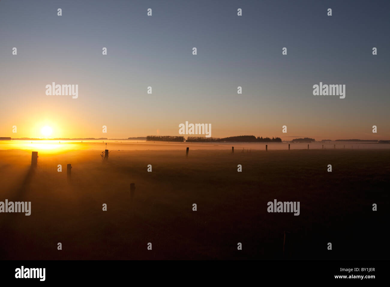 New Zealand, South Island. Sunset over a misty field during winter on ...