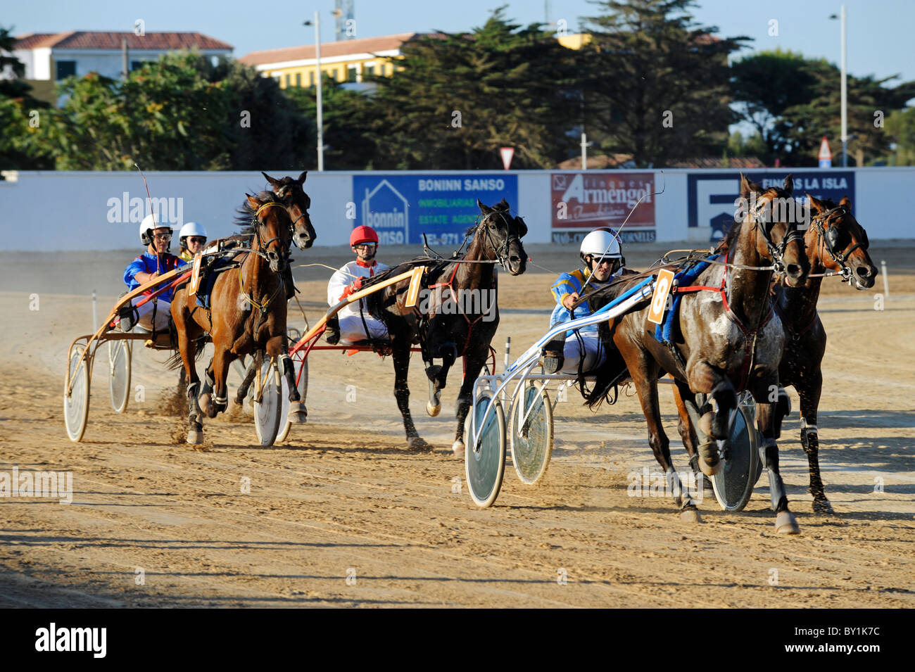 Spain, Menorca, Mahon. Trotting races at the San Luis Road Hippodrome ...