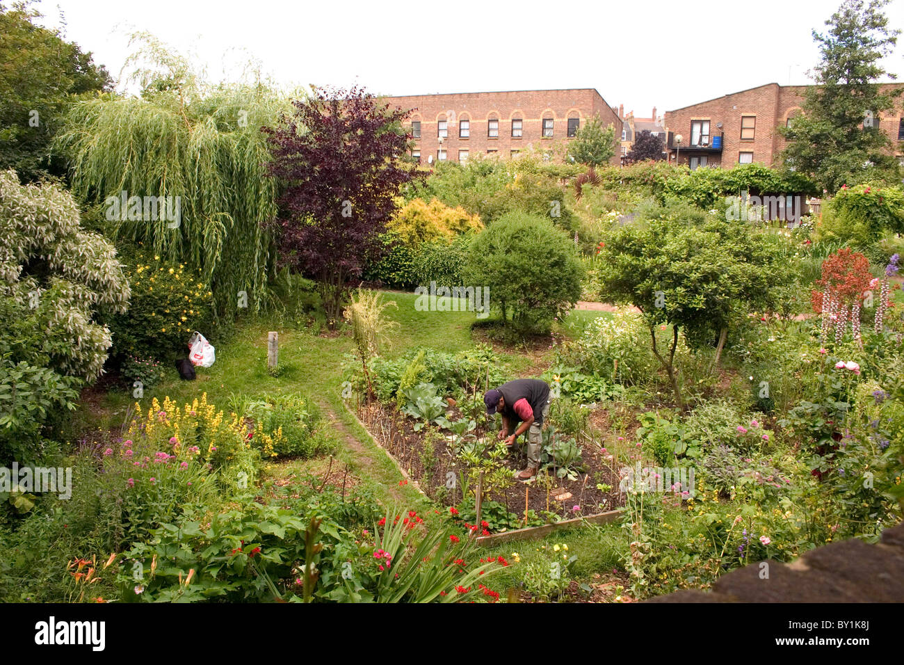 inner city allotment Stock Photo - Alamy