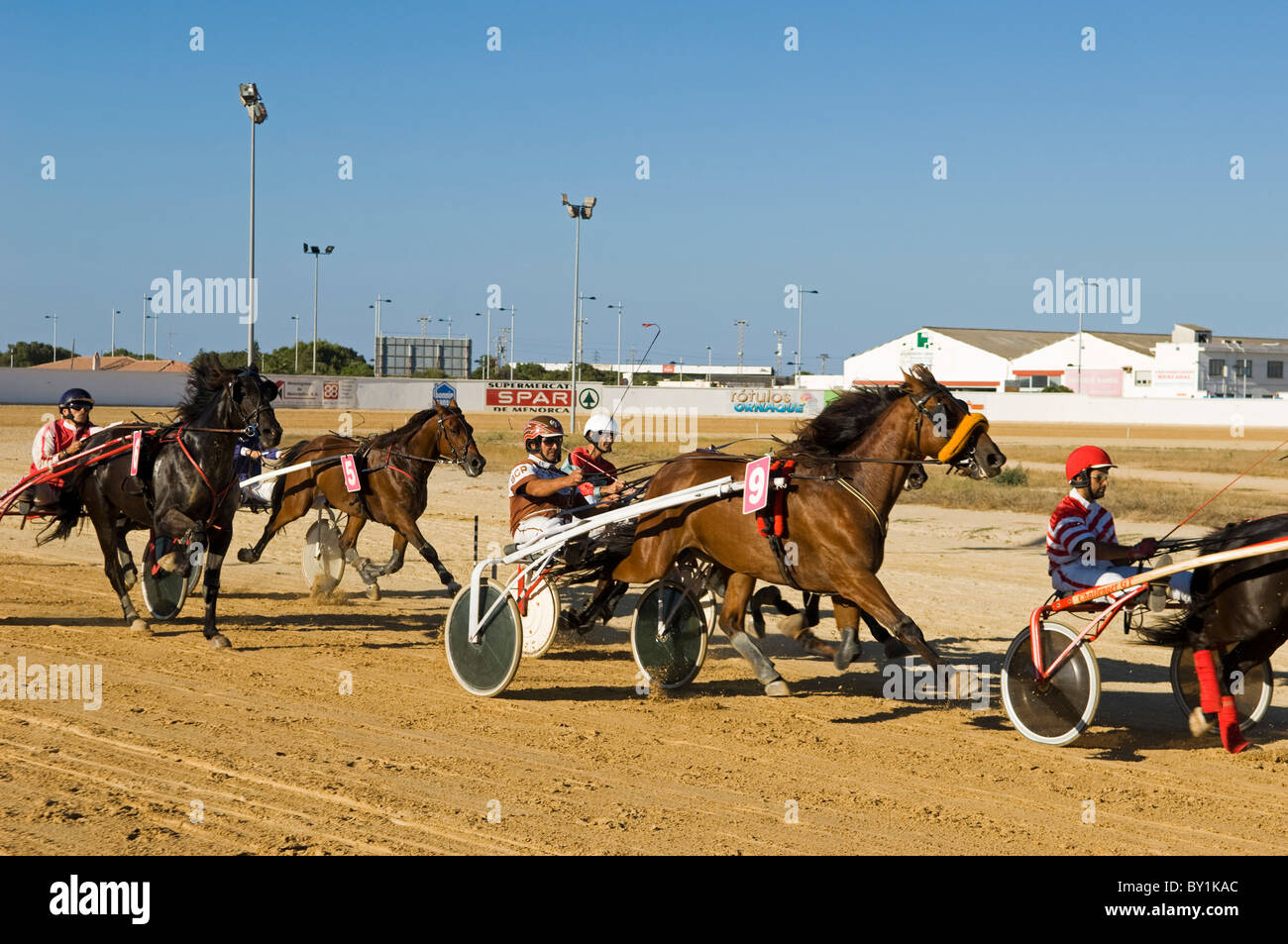 Trotting races hi-res stock photography and images - Alamy