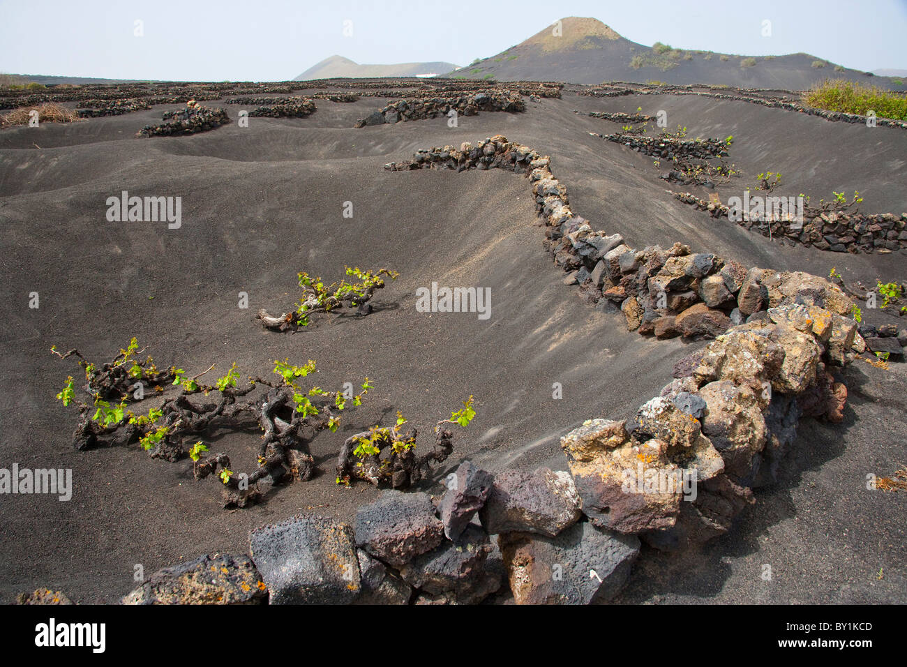 Lanzarote Island. Belongs to the Canary Islands and its formation is ...