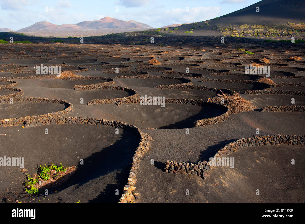 Lanzarote Island. Belongs to the Canary Islands and its formation is ...