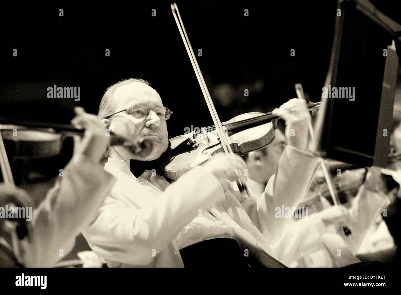 String section performing at the Welsh Proms, St Davids Hall, Cardiff ...