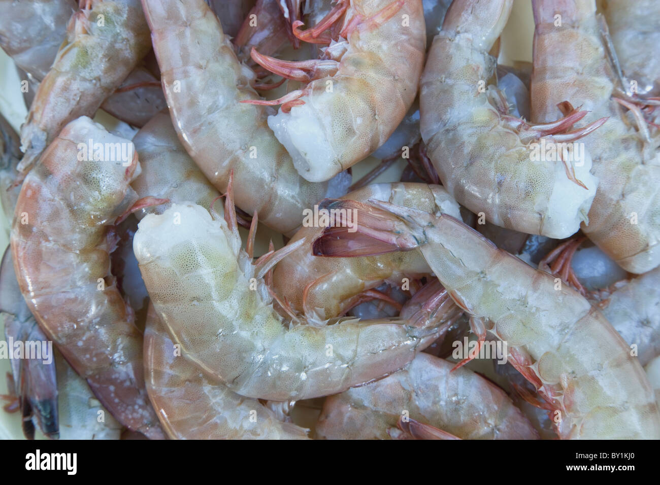 Gulf shrimp hi-res stock photography and images - Alamy