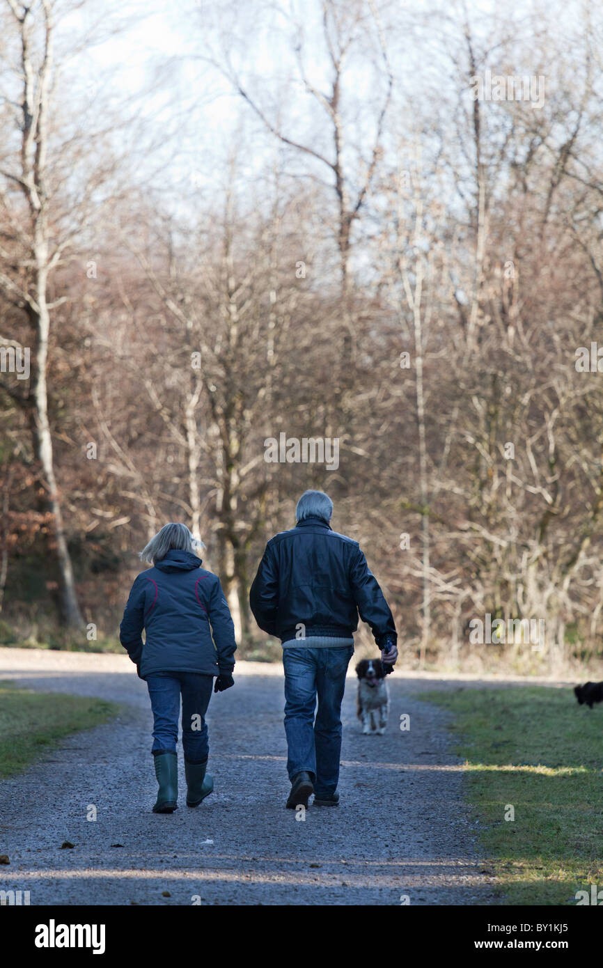walking on a country path in the winter with dogs Stock Photo - Alamy