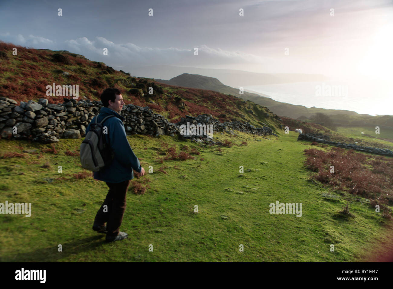 Mawddach walking trail hi-res stock photography and images - Alamy