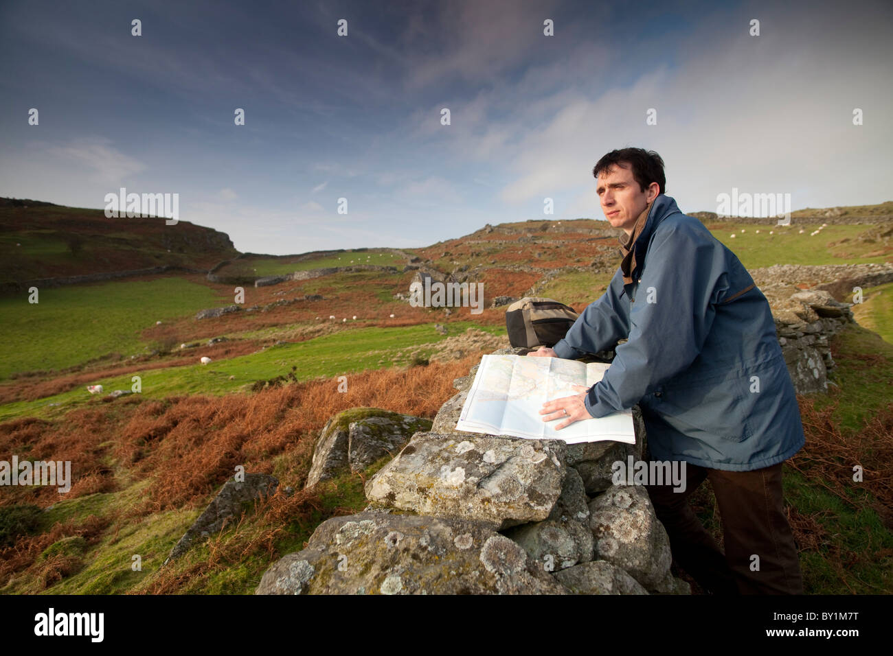 Walker map reading on the Mawddach Way Wales Stock Photo - Alamy