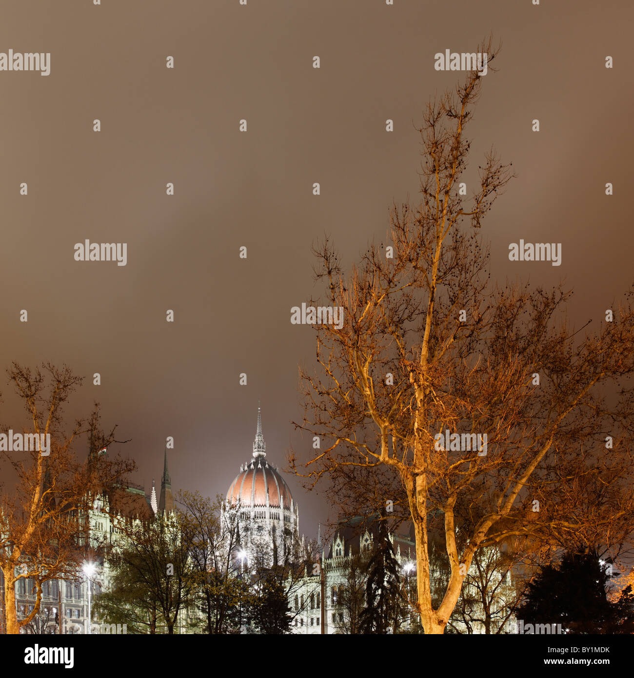 Hungarian Parliament and tree Stock Photo - Alamy