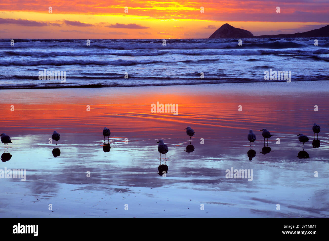 Squeaky beach hi-res stock photography and images - Alamy