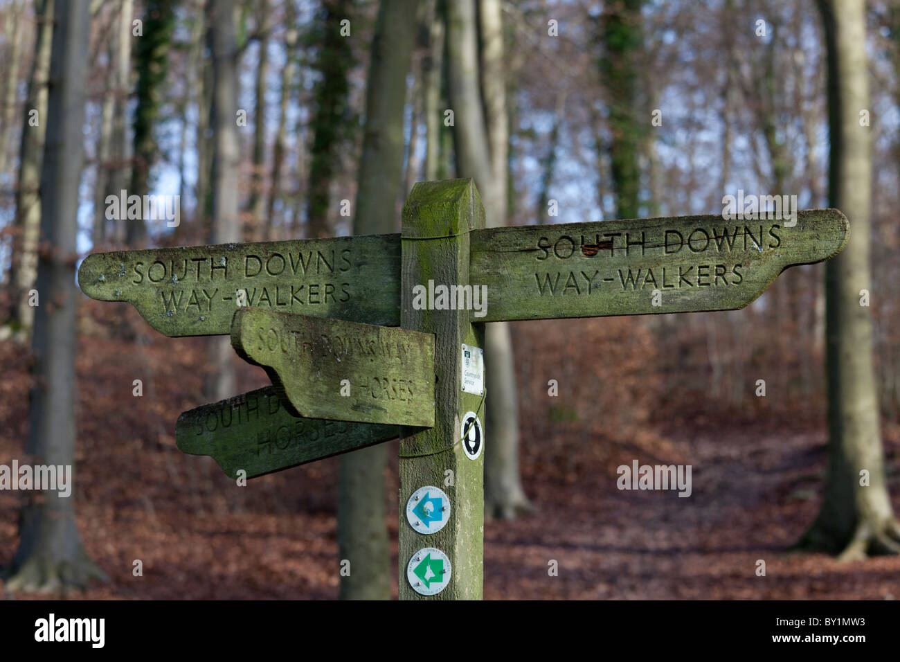 South Downs Way walkers sign Stock Photo - Alamy