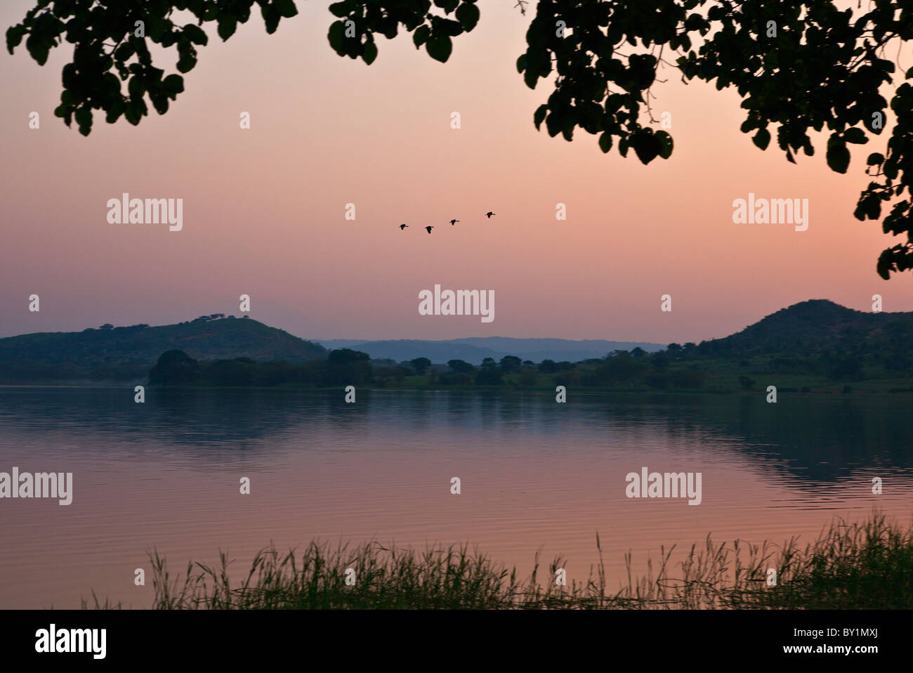 Babati hi-res stock photography and images - Alamy