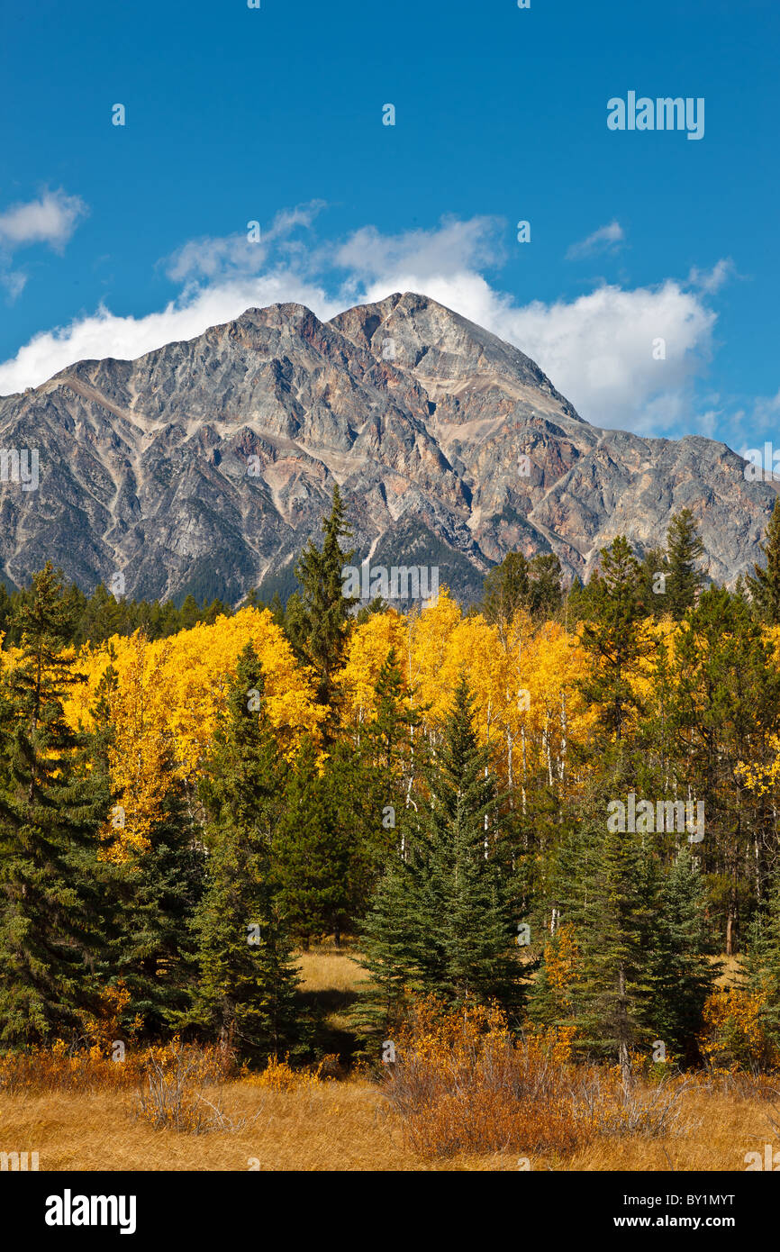 Pyramid Mountain, Jasper National Park, Alberta, Canada Stock Photo - Alamy