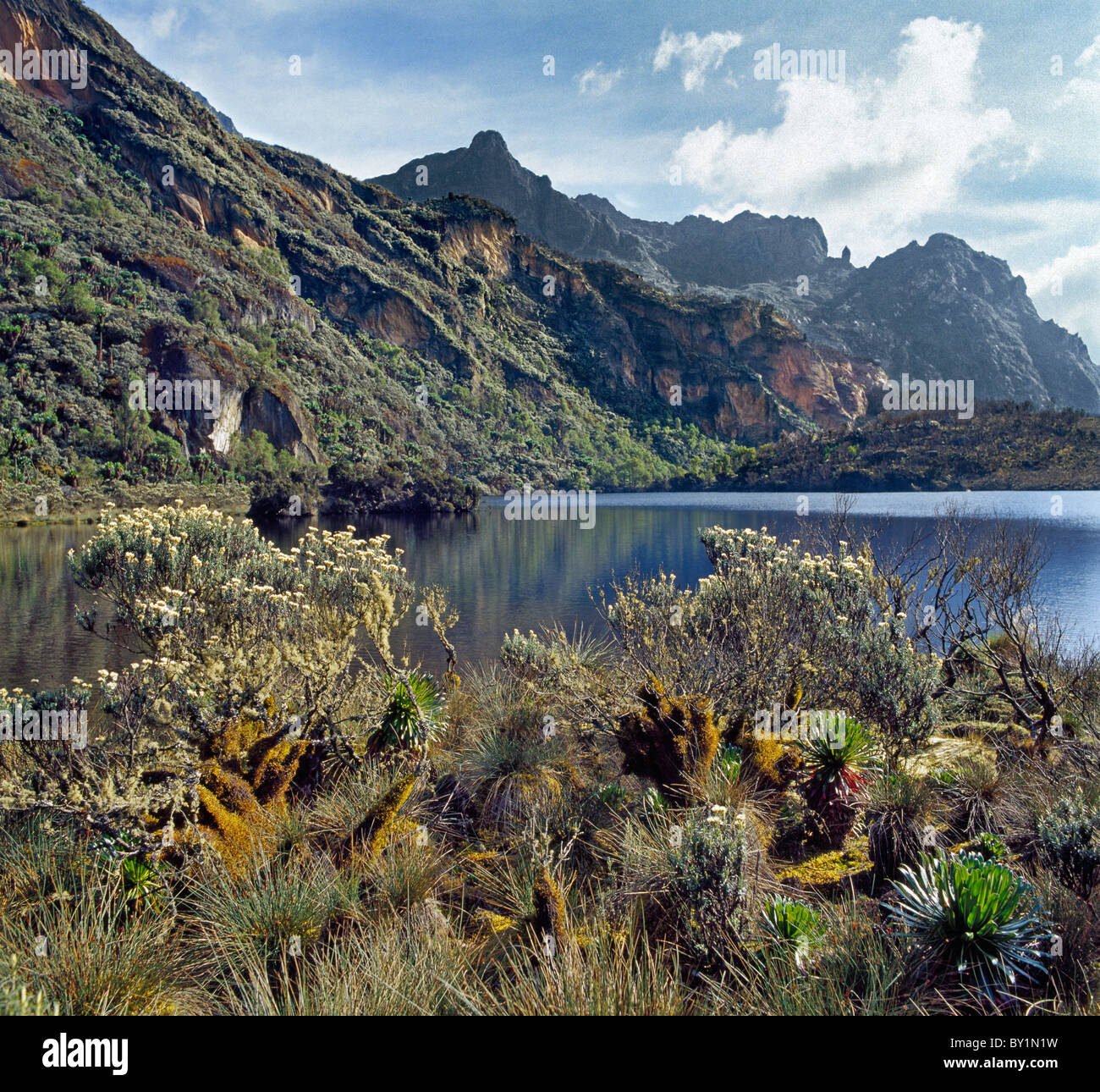 Lake Kitandara (south) (13,200 feet), a shallow freshwater lake, with ...