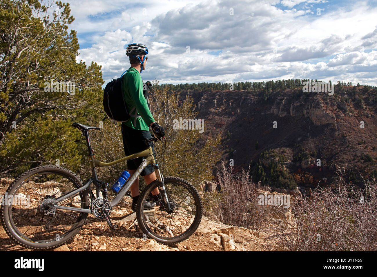 USA, Arizonia, Grand Canyon north rim, Kaibab National Forest. The vast ...