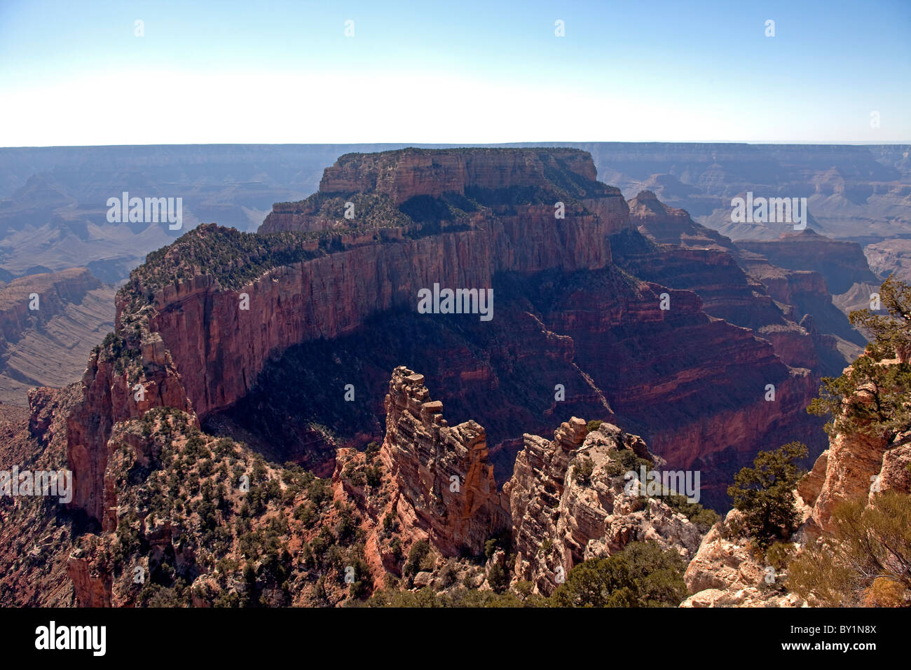 Grand canyon north rim from cape royal hi-res stock photography and ...