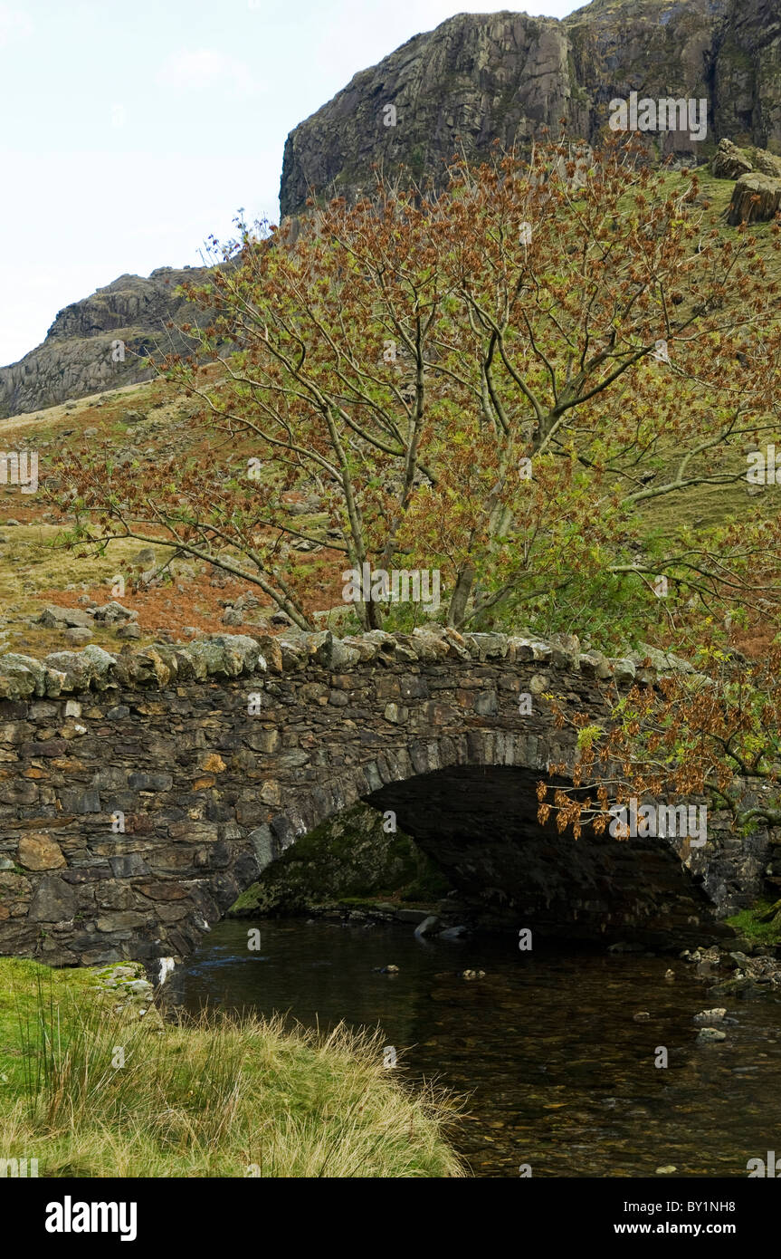 UK, North Wales, Snowdonia. An old stone bridge in the Llanberis Pass ...