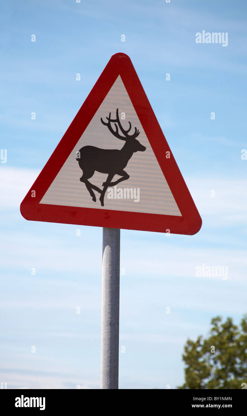 Deer Road Sign Uk