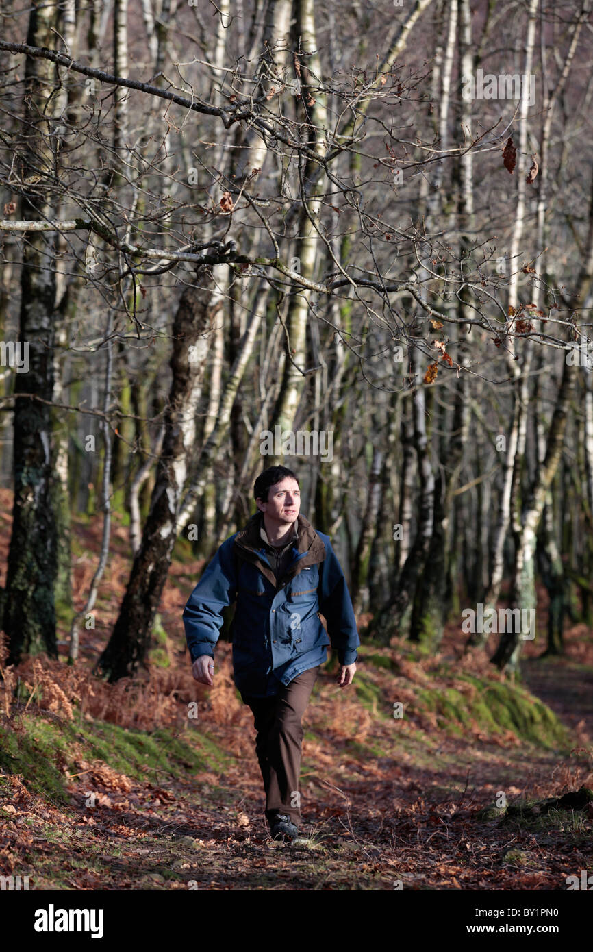 Walking in woods in winter in Wales Stock Photo - Alamy