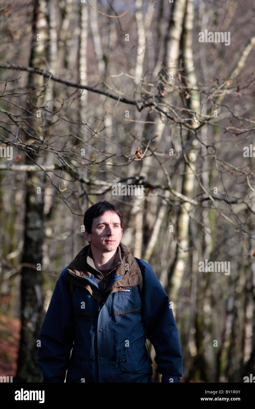 Walking in woods in winter in Wales Stock Photo - Alamy