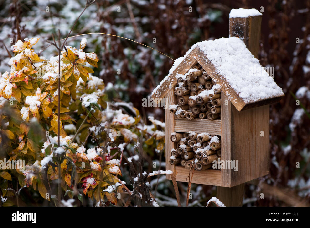 Insect hibernation habitat hi-res stock photography and images - Alamy