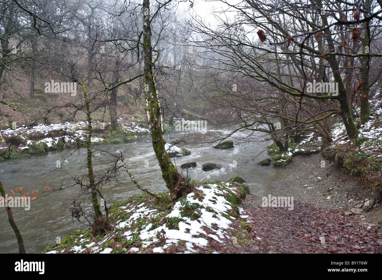 River wye riverbank powys trees hi-res stock photography and images - Alamy