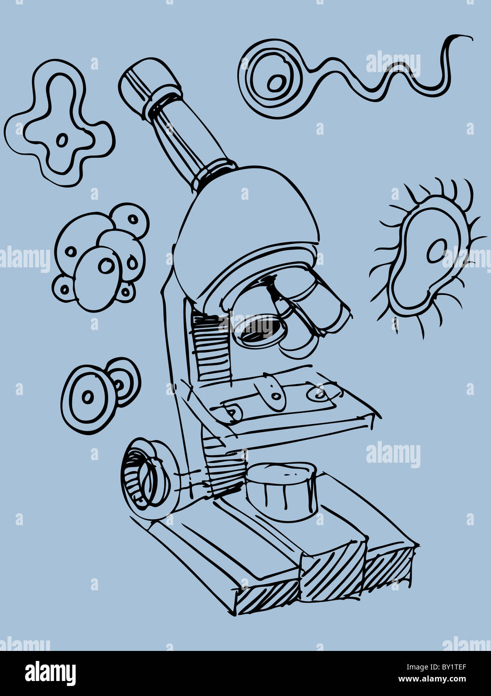 A hand drawn sketch of a Microscope Stock Photo - Alamy